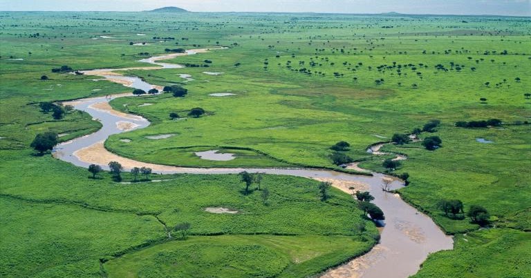 Patrimonio de la Humanidad: Parque Nacional Garamba. República ...