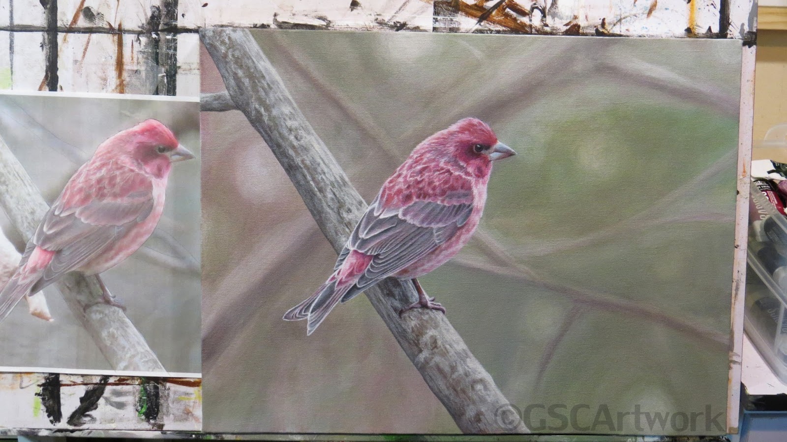 GSC Artwork Blog: Purple Finch painting almost done!