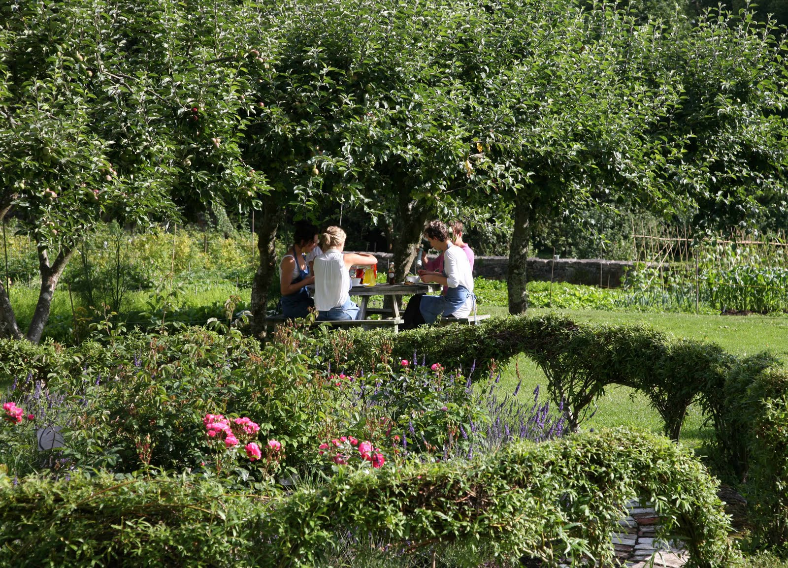 A Year in the Life of Pythouse Walled Garden