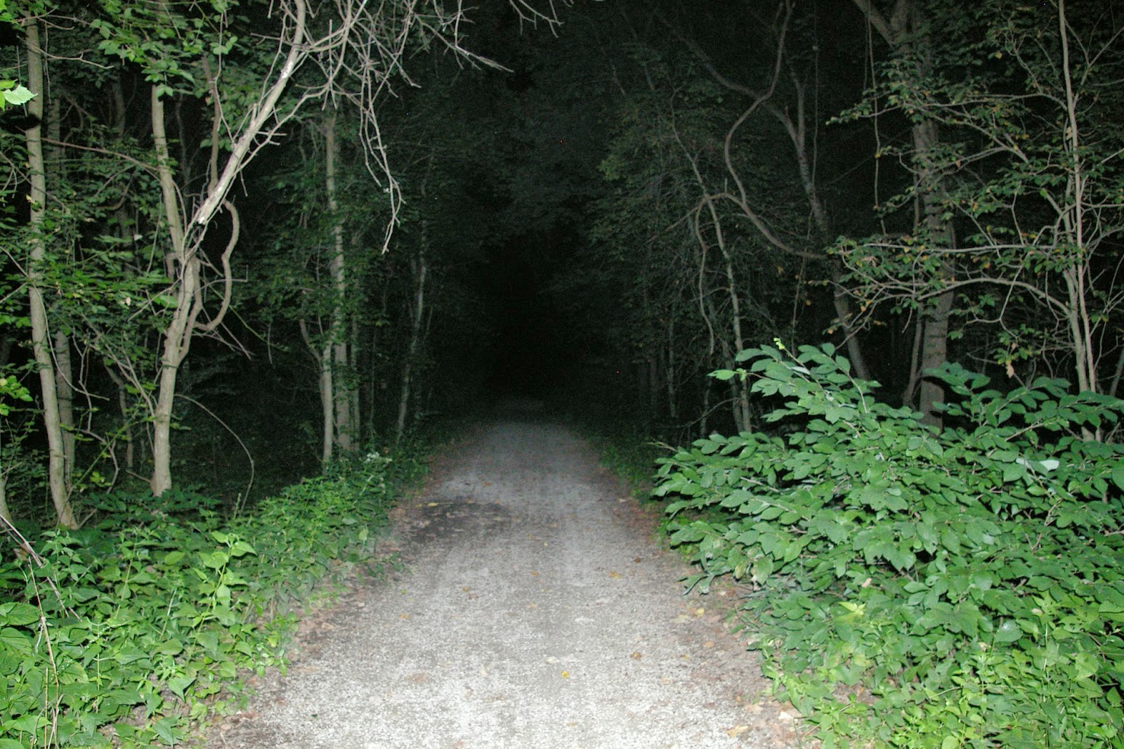 Fascination With Fear: Haunted Roads: The Lore (And Lure) Of Ghostly Byways