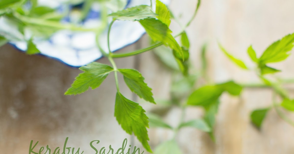 KERABU SARDIN DAUN SELOM ... pembuka selera ! - FHA Selemak Santan