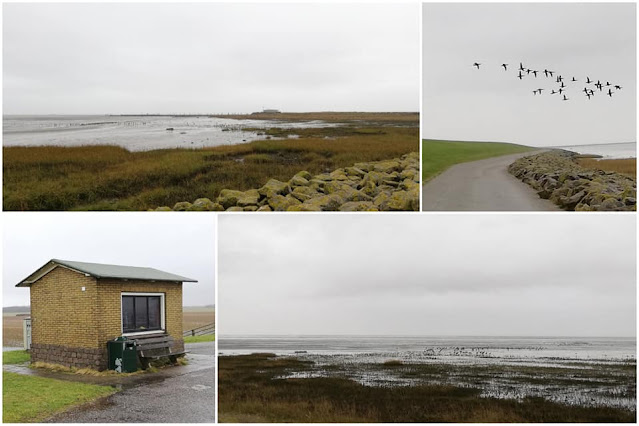 Caatje's Artsy Stuff: Postcards from Schiermonnikoog - Part one of two