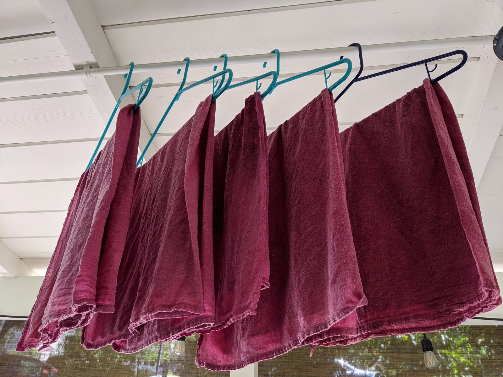 Eden By The Bay: Dye Project: Cochineal (Bugs!)