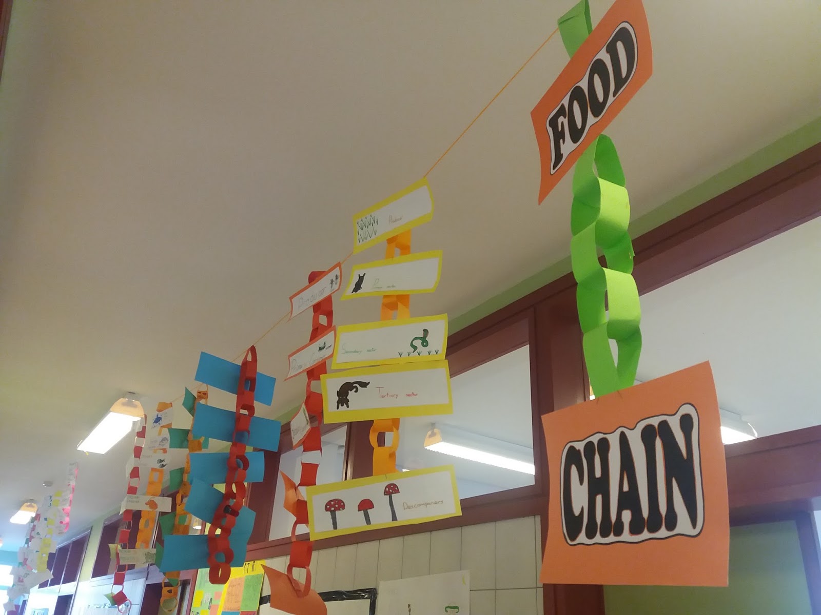 El Blog de 5º: Unit 3. ECOSYSTEMS. Food chain project