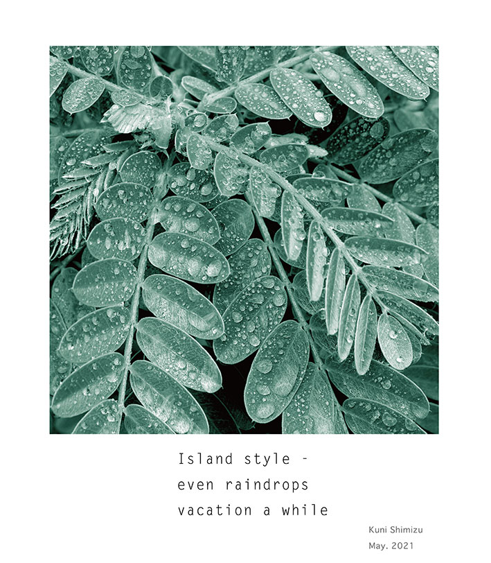 see haiku here 2: Photo haiku: Island style