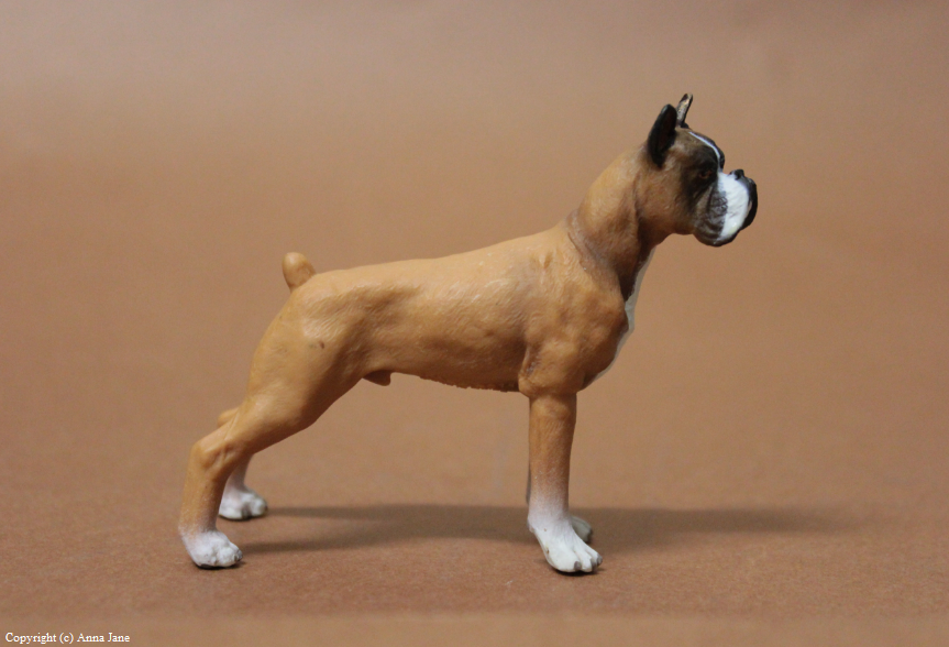 Papo Boxer - a Walkaround, A Walkaround... And another Walkaround.