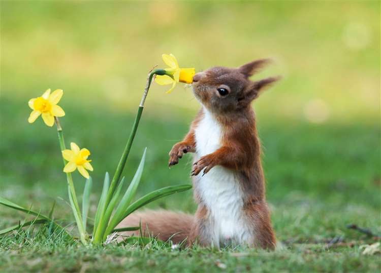 The Squirrel Station: Wednesday 24th February