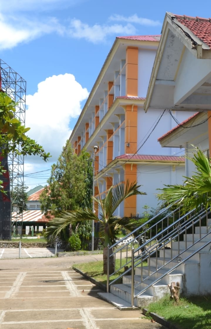 Penerimaan Calon Online Mahasiswa dan Mahasiswi Baru Sekolah Tinggi ...