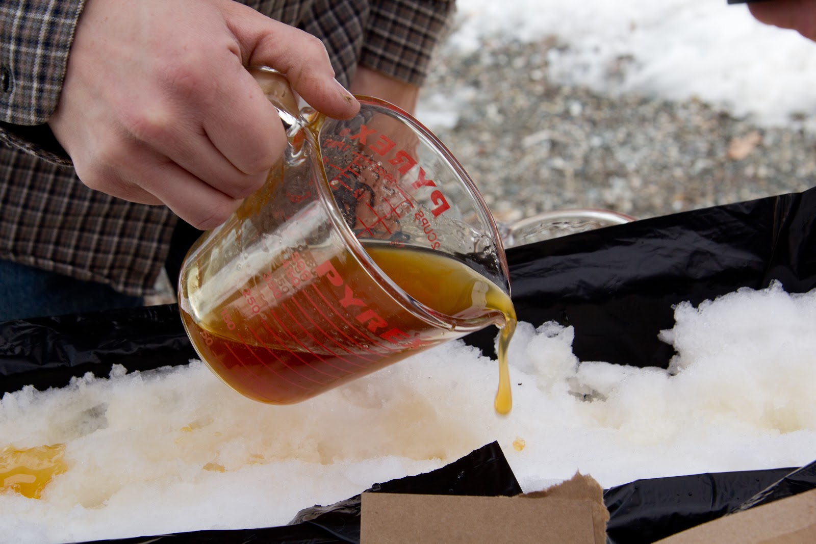 Maple Sugaring in NH: Cara Parker, Massachusetts Family Photographer