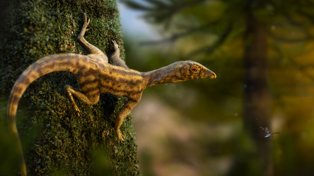 Waxing Paleontological Waxing Paleontological