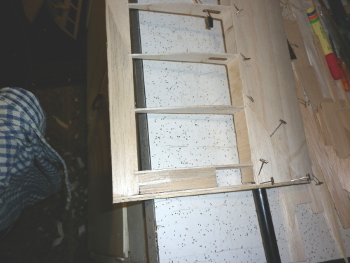 Wings N' Flying Things: Bird of Time