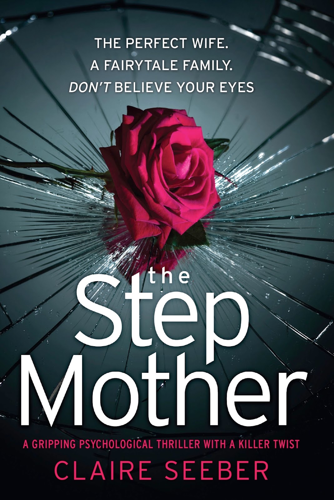 Promo Post: The Stepmother by Claire Seeber
