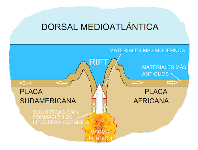 CURIOSIDADES CIENTÍFICAS : Bordes constructivos. Dorsales oceánicas