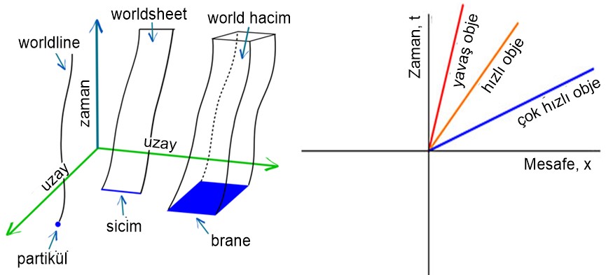 Prof. Dr. Bilsen Beşergil: Worldline (world line)
