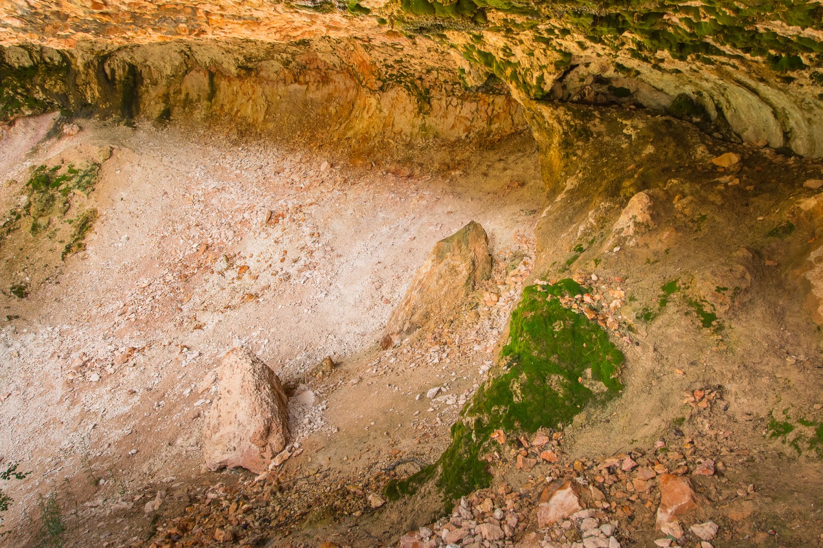 A Tree Falling: Mossy Cave Trail