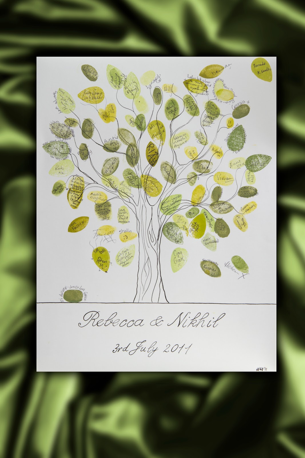 Olive Dragonfly: Our fingerprint tree