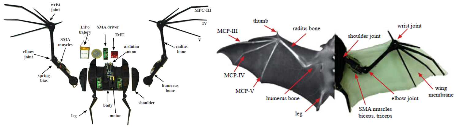 Bat Robot: Bat robot design: Structural and electronic components