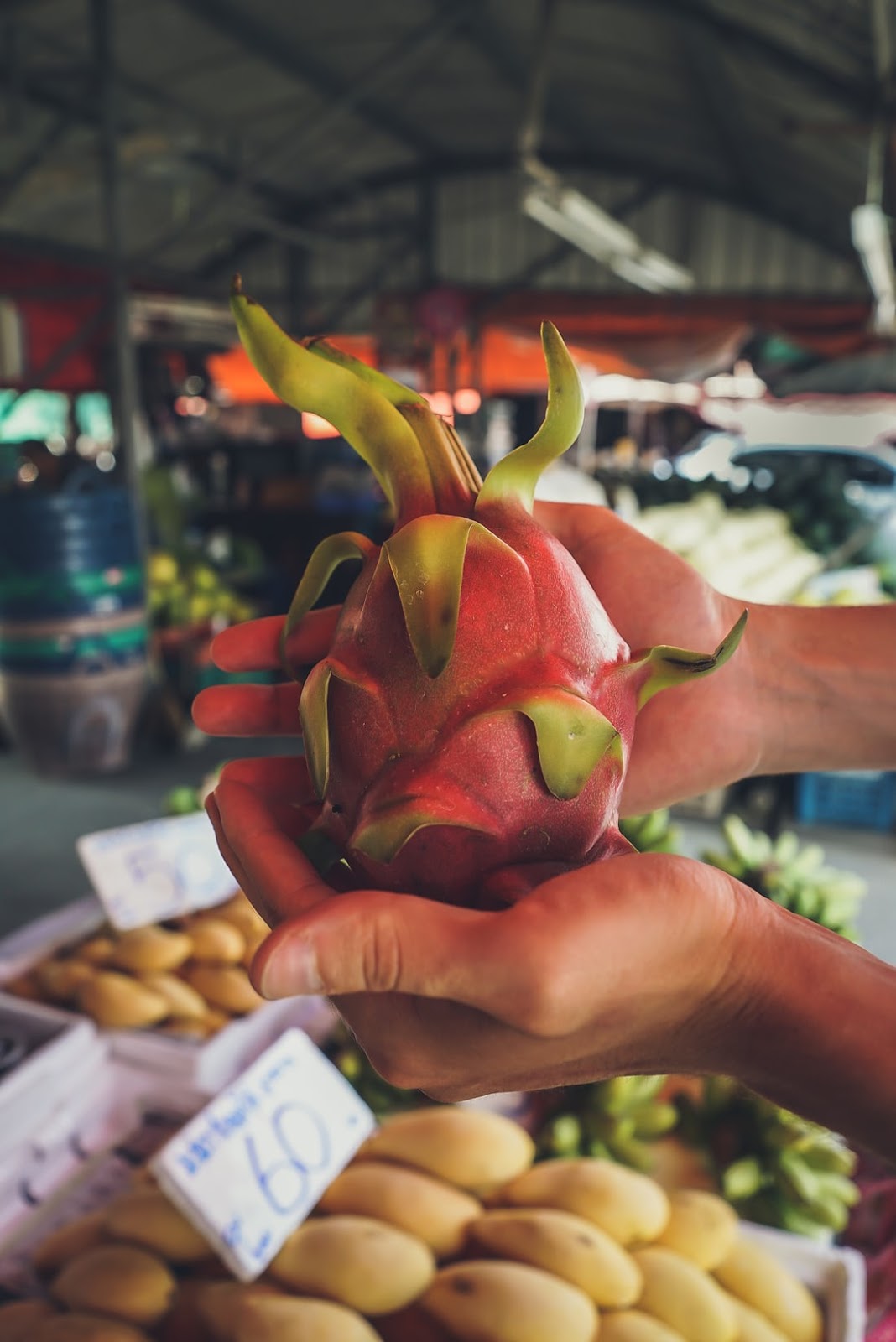 A life of a biologist: Plant-derived Fruits Present in the Philippines ...