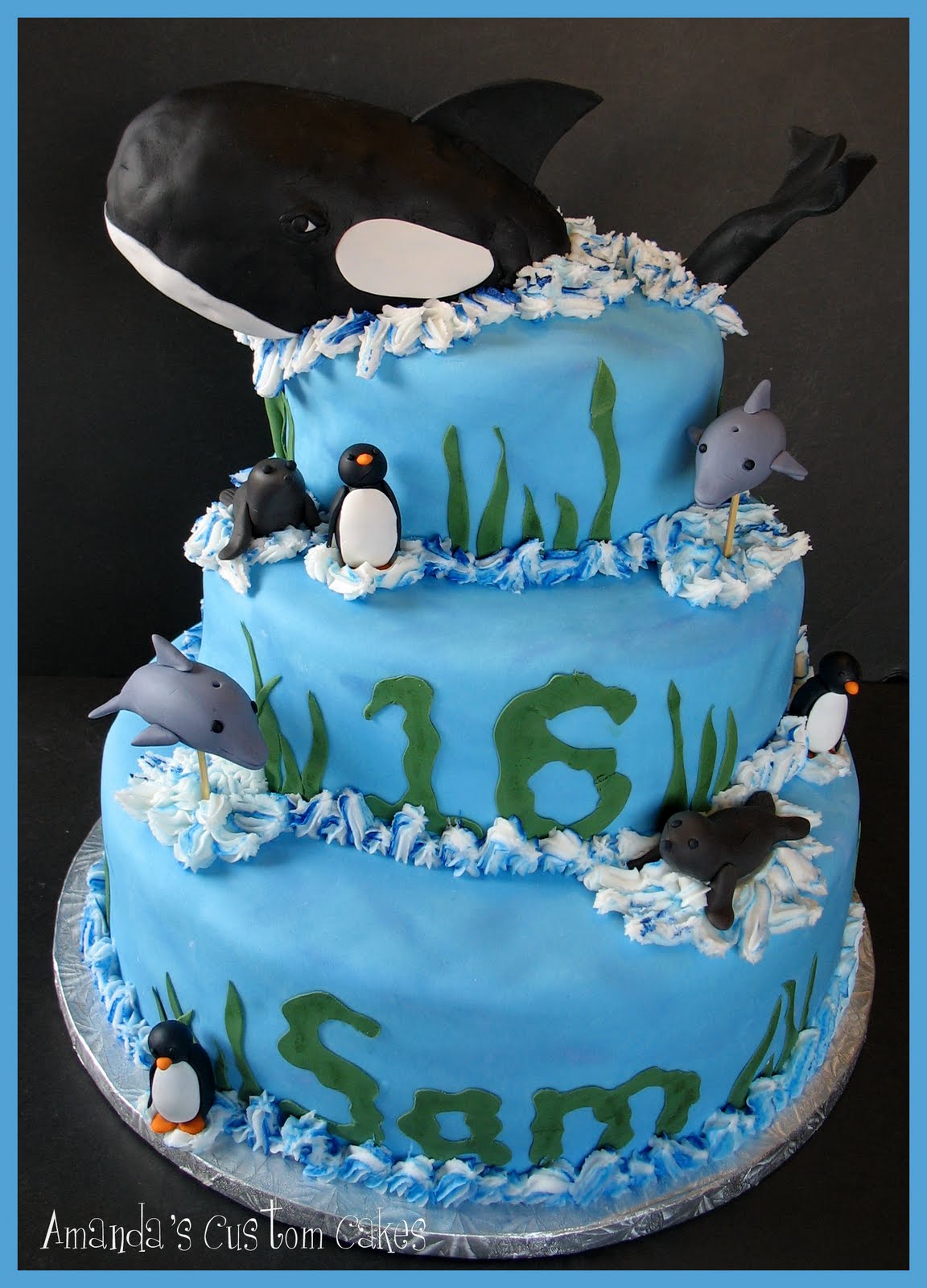 Amanda's Custom Cakes: Sea World themed cake