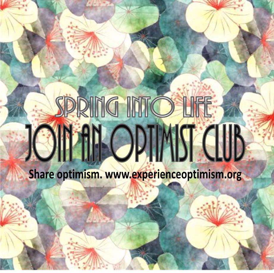 Experience Optimism: 2016