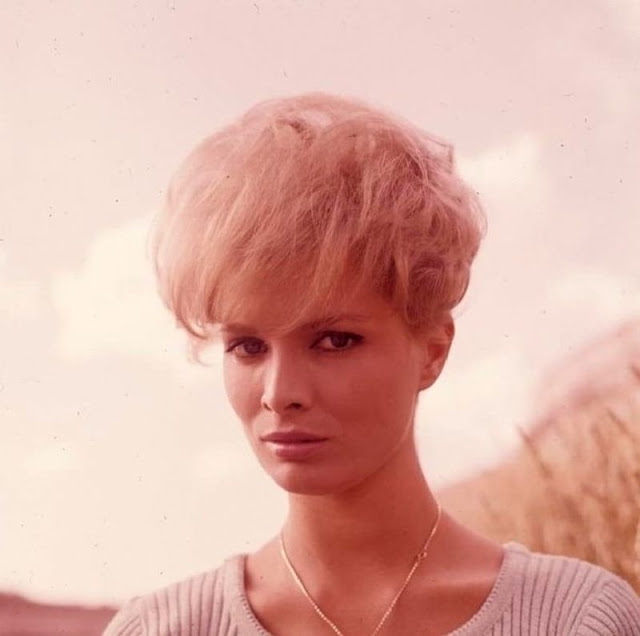 Sophia Loren's Body Double: 38 Stunning Photos of Scilla Gabel in the ...