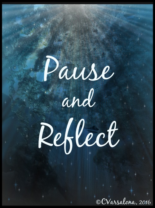 Beyond LiteracyLink: Pause and Reflect