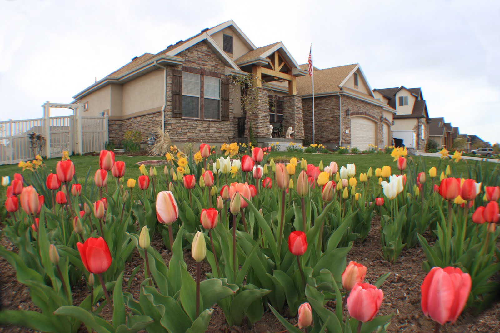 Rich Ideas: My Front & Back Yard Spring Flowers