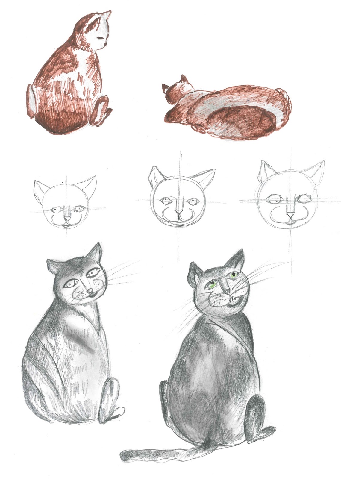 Negotiated Illustration by Ieva G: Observational Drawing The Subject 'Cats'