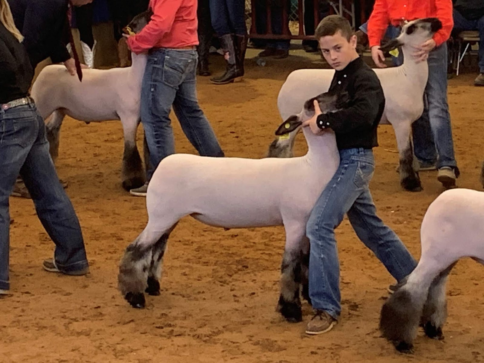 Comal County 4-H Online News: Clover Kudos - Karson Neuse