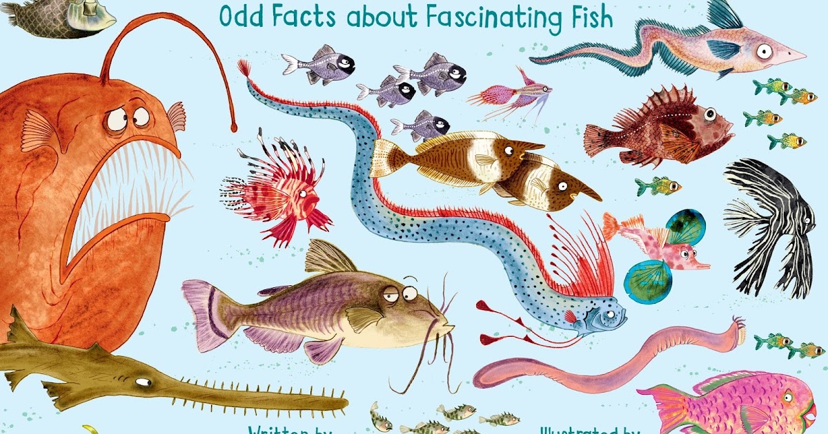 Kids' Book Review: Review: Freaky, Funky Fish: Odd Facts About ...