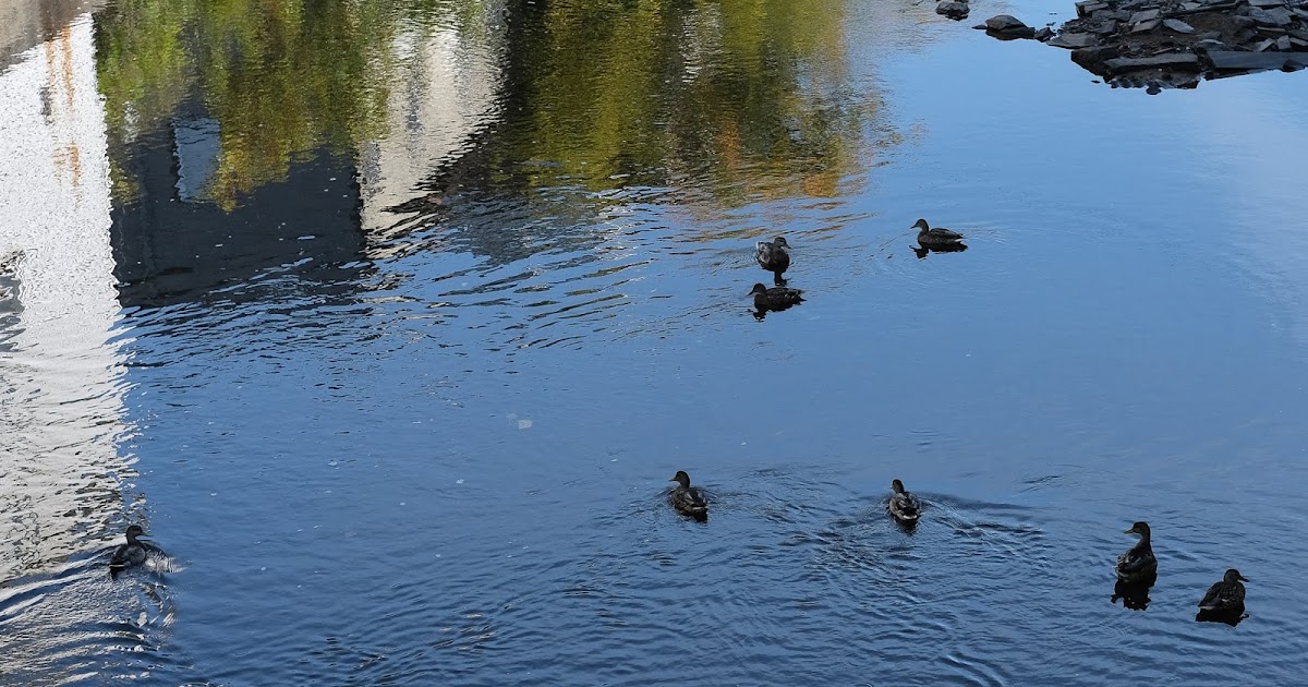 Local Flavor: Waterway