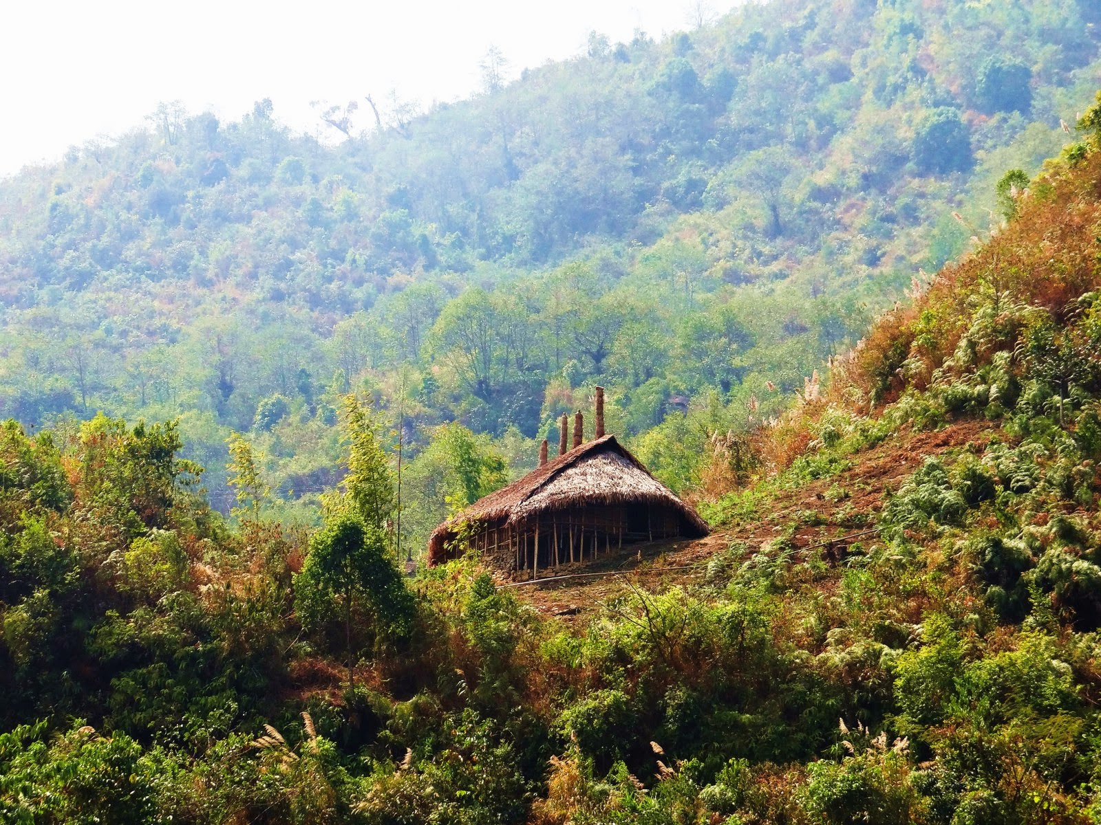 THE WANCHO: ENCHANTED GLIMPSE OF THE WANCHO INHABITED LONGDING DISTRICT ...