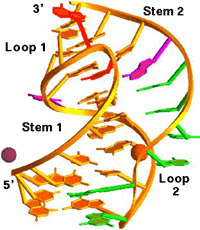All About Dna 2: Rna Structure