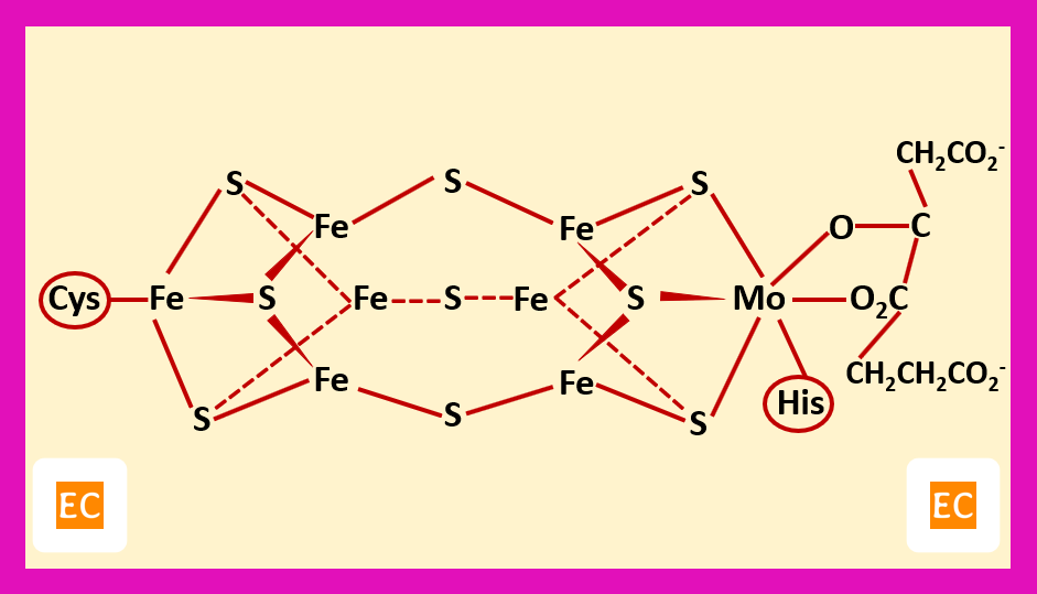 ELEMENTAL CHEMISTRY: Nitrogen fixation