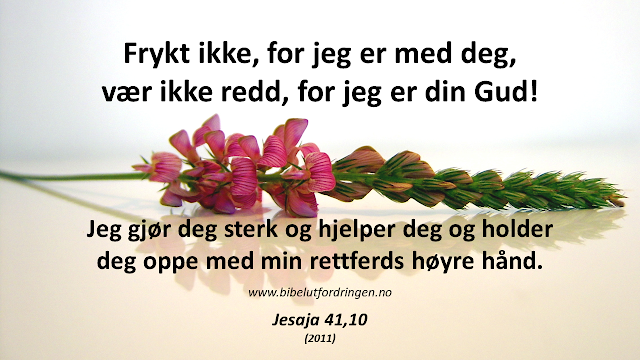 Bibelutfordringen: Jesaja 41,10