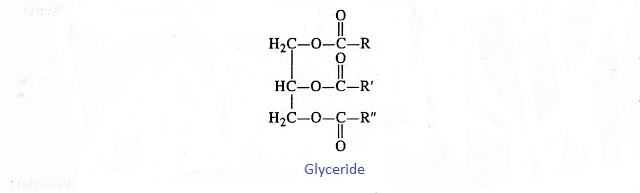 Welcome to Chem Zipper.com......: What is fats and Oils