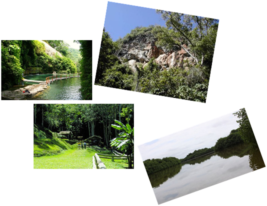 EL ESTADO MIRANDA PUEDE SER TU MEJOR OPCIÓN