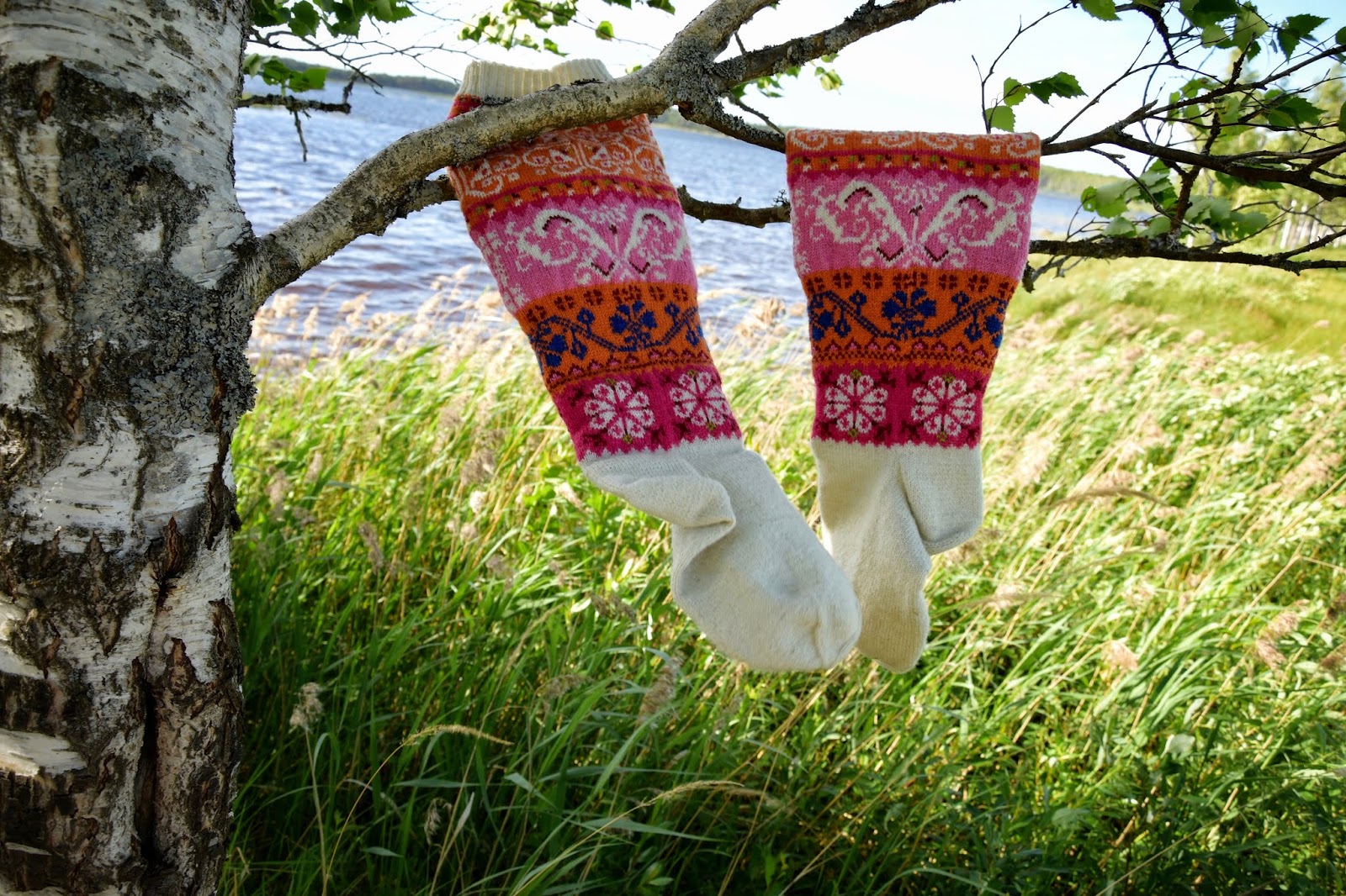 Muhu mustritega sukad