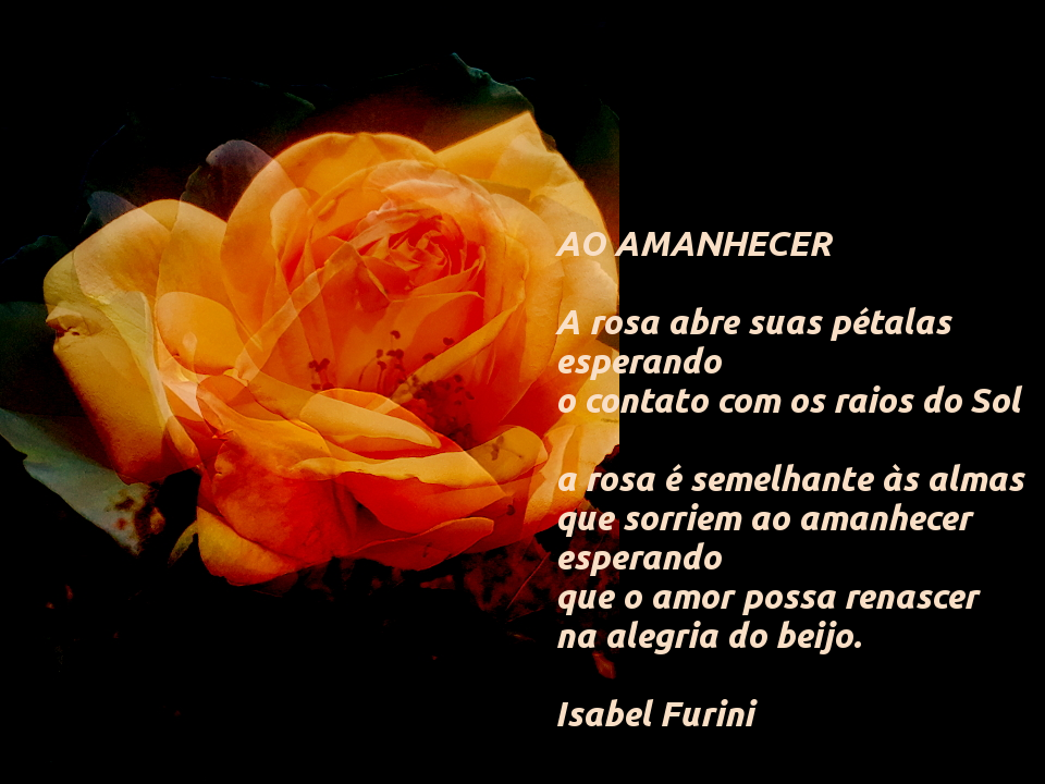 LITERATURA DE ISABEL FURINI: Ao amanhecer - Poema de Isabel Furini