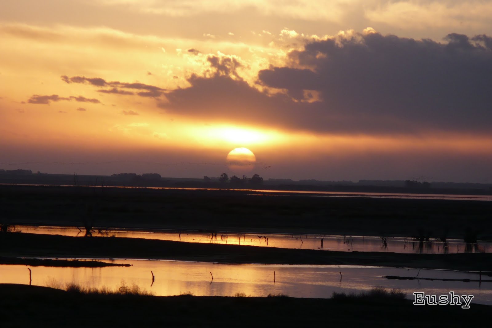 Una imagen por dia: Imagen del dia: Ocaso 31/1/2012 #Ocaso