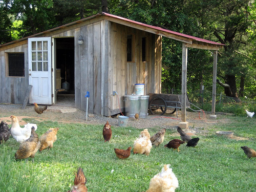 Two Men and a Little Farm: INSPIRATION THURSDAY, RUSTIC FARM CHICKEN COOP