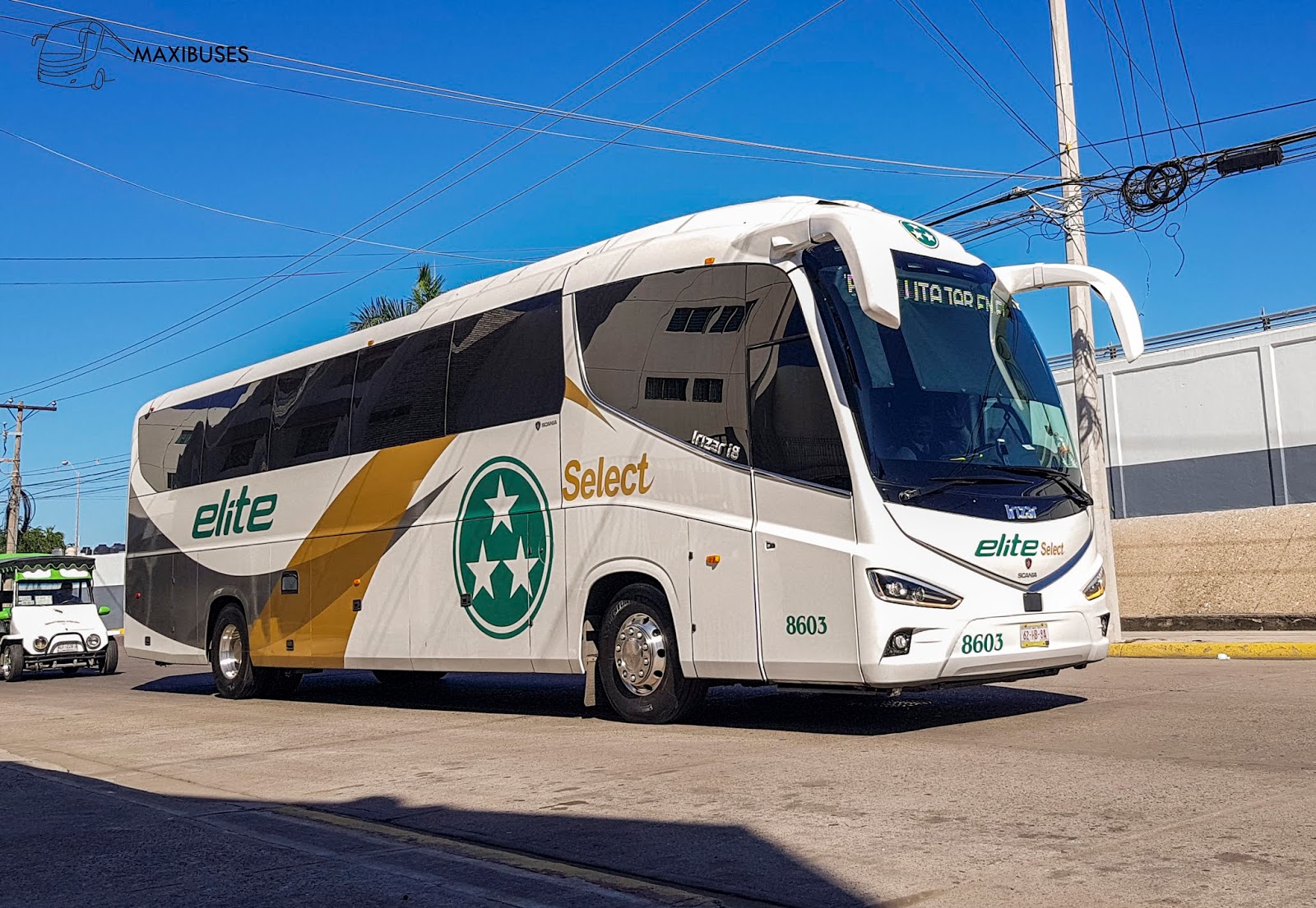 MAXIBUSES: ELITE SELECT