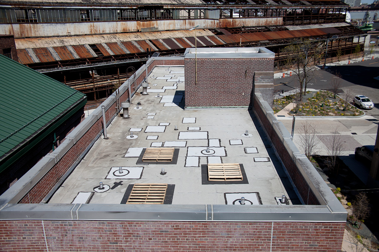 Alex Brown Photography Blog: Brooklyn Grange Apiary Project