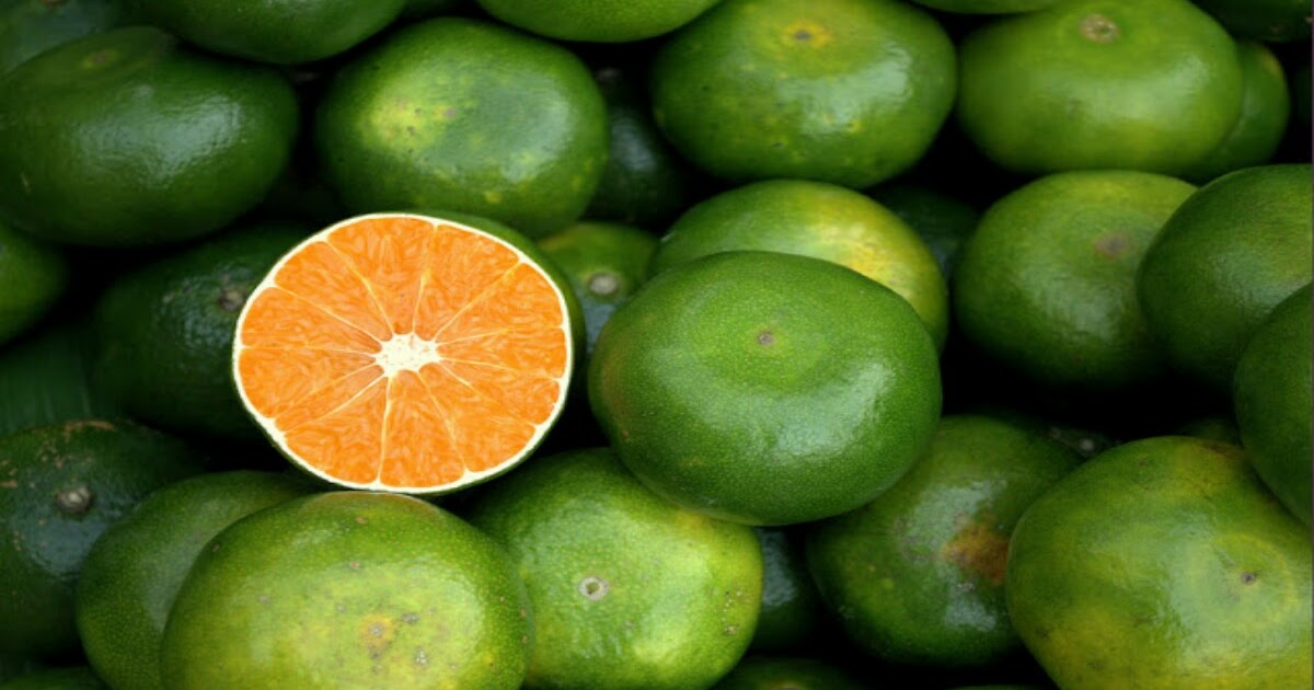 8 Amazing Healing Power of Dalanghita