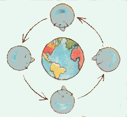 Geo - Conceição : MOVIMENTOS E FASES DA LUA.