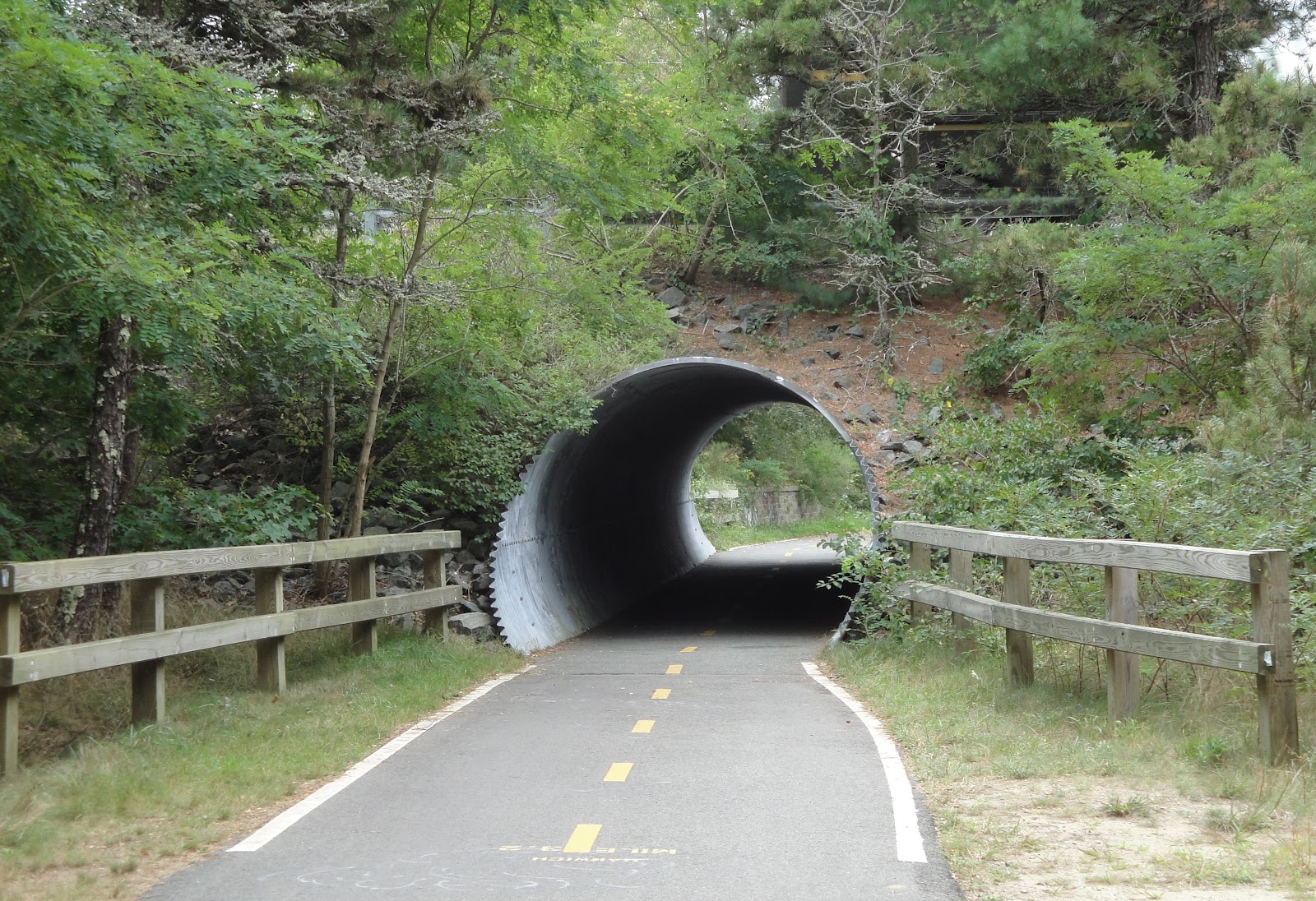 BikerBuck's 50-50: Cape Cod Caper