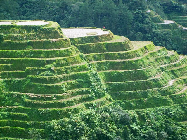The Philippines "Pearl of the Orient Seas": Banaue Rice Terraces