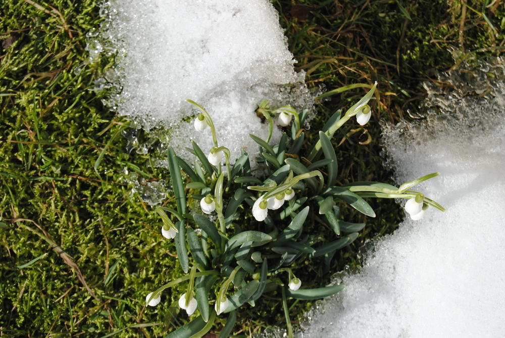 Üheskoos õpiretkel: Teele pildistas kevade tulekut:)