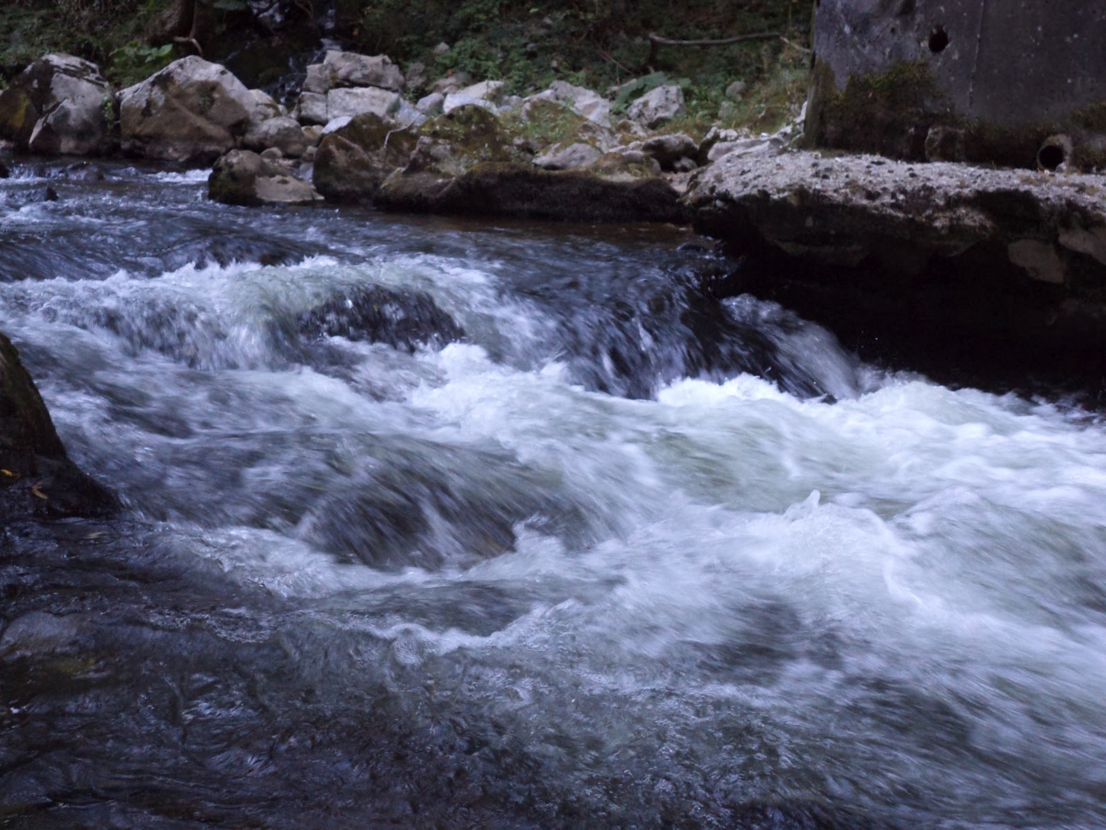 Romania... la pas: Sapte Izvoare, Herculane
