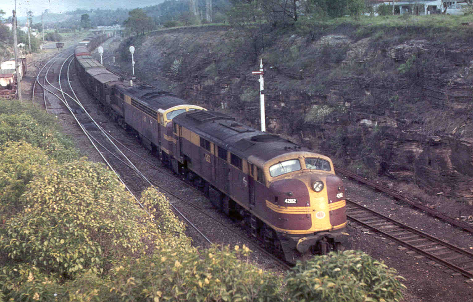 NSW Rail Rambler: 421s galore!